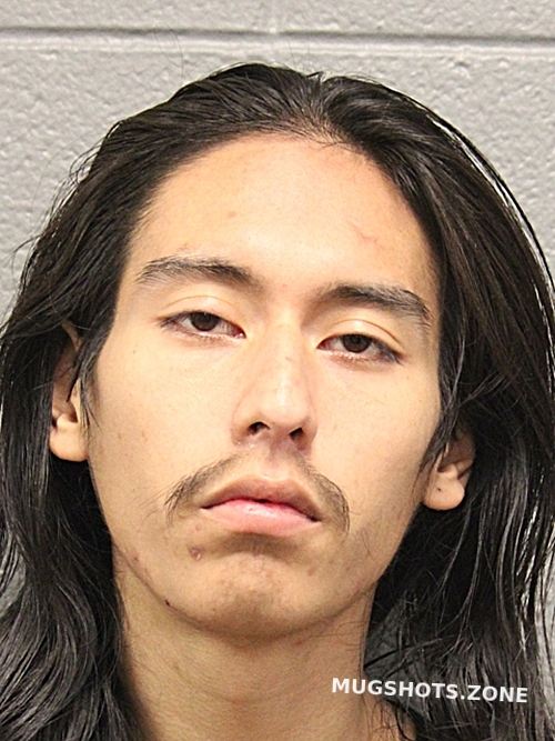 ADRIAN R BAUER 12/10/2025 - Chicago Mugshots Zone