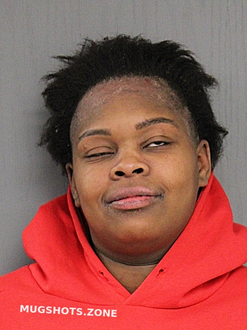 REGGIE NORRIS 12/13/2025 - Chicago Mugshots Zone