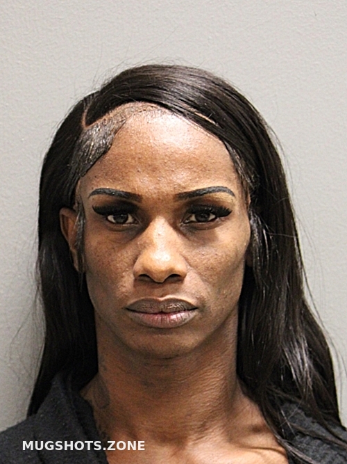 PEACHES PRINCESS JOHNSON 12/19/2025 - Chicago Mugshots Zone