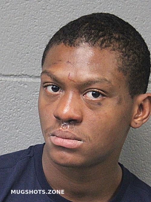 DEREK L LEE 12/19/2025 - Chicago Mugshots Zone