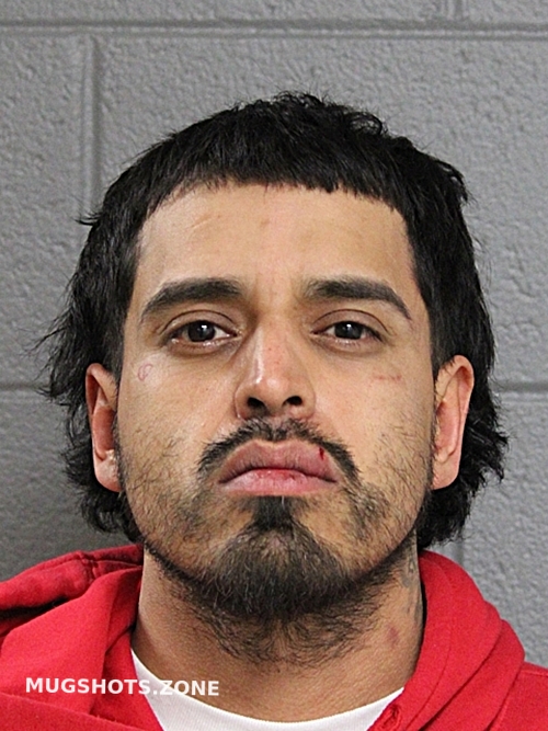 ANTHONY SORIA 01/06/2026 - Chicago Mugshots Zone