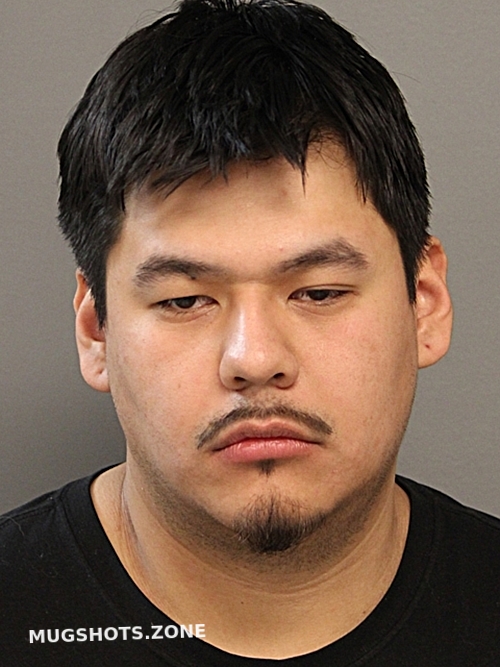 ELIAN FERNANDO SILVA 01/22/2026 - Chicago Mugshots Zone