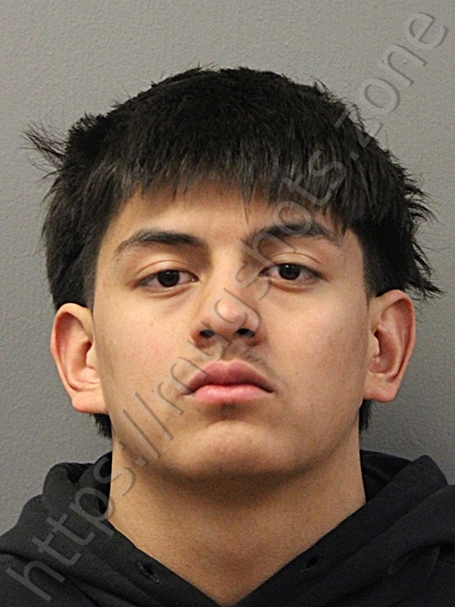 ALEXIS GONZALEZ BRIONES 03/08/2026 - Chicago Mugshots Zone