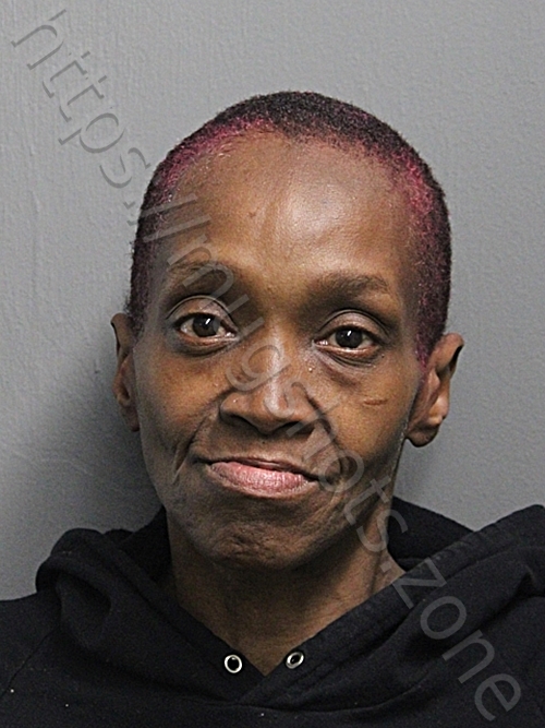 FELECIA M JACKSON 03/11/2026 - Chicago Mugshots Zone