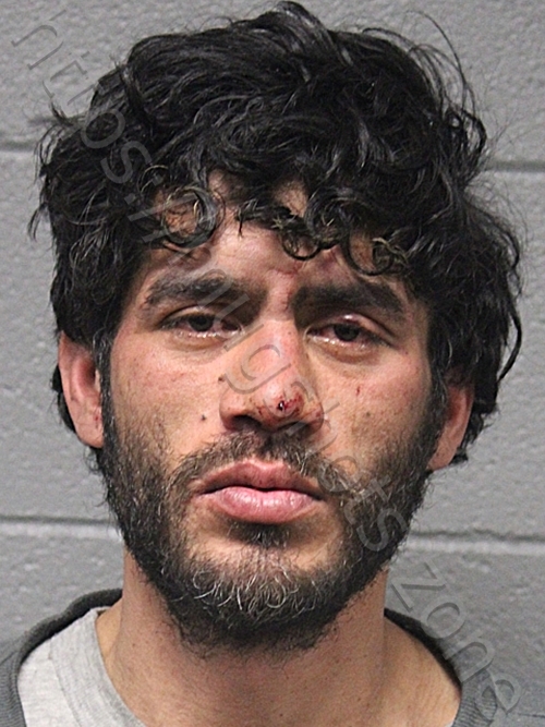 FERNANDO MANUEL ROMAN 03/13/2026 - Chicago Mugshots Zone