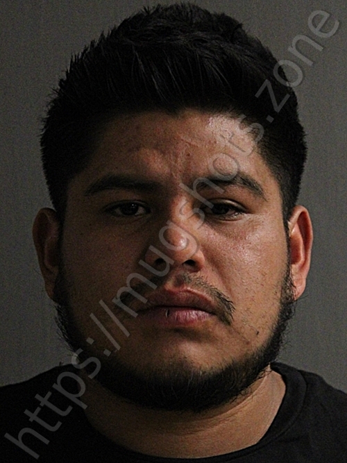 JOSE MIGUEL REYES MIRANDA 03/16/2026 - Chicago Mugshots Zone