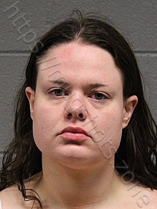 SHEALA L EDWARDS 03/21/2026 - Chicago Mugshots Zone