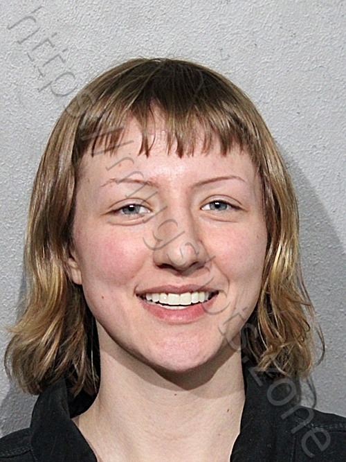 JANE S LOVELESS 04/08/2026 - Chicago Mugshots Zone