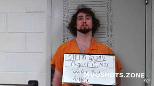 WOOLEY DUSTIN ANTHONY 08/10/2021 - Chilton County Mugshots Zone