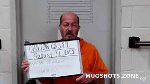 WISE ALONZO AARON 08/11/2021 - Chilton County Mugshots Zone