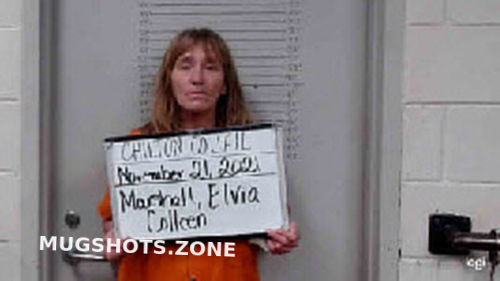 MARSHALL ELVIA COLLEEN 11/22/2021 - Chilton County Mugshots Zone