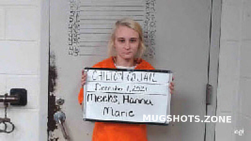 MEEKS HANNA MARIE 12/01/2021 - Chilton County Mugshots Zone