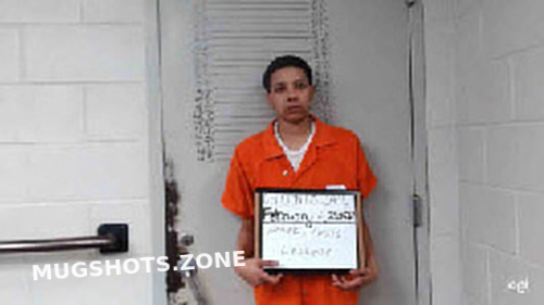 NOWAK ALEXIS LESHONE 02/06/2022 - Chilton County Mugshots Zone