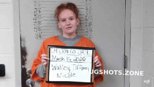WATLEY TIFFANY NICOLE 03/16/2022 - Chilton County Mugshots Zone