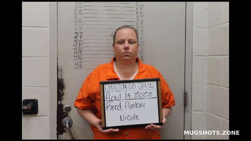REED AMBER NICOLE 04/14/2022 - Chilton County Mugshots Zone