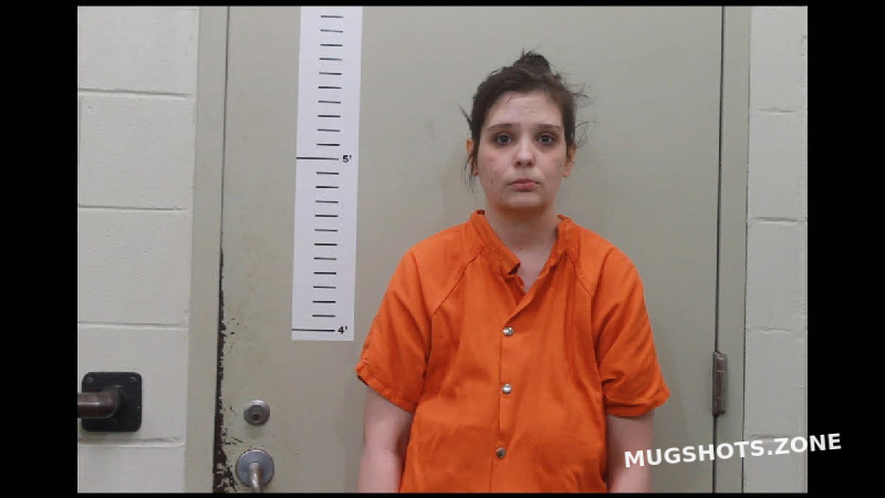 PALMER ALLISON MICHELLE 02/20/2024 - Chilton County Mugshots Zone