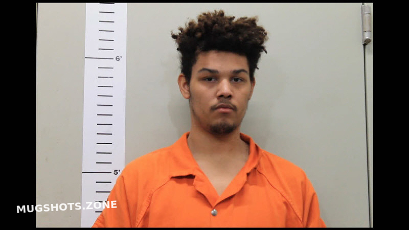 REEVES JOSHUA STEPHEN 04/02/2024 - Chilton County Mugshots Zone