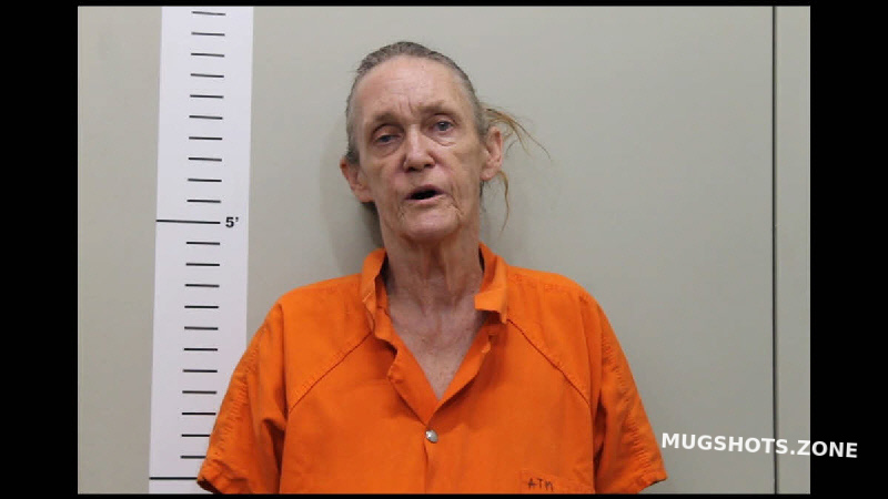 SPANGLER SANDRA CAMILLE 08/13/2024 - Chilton County Mugshots Zone