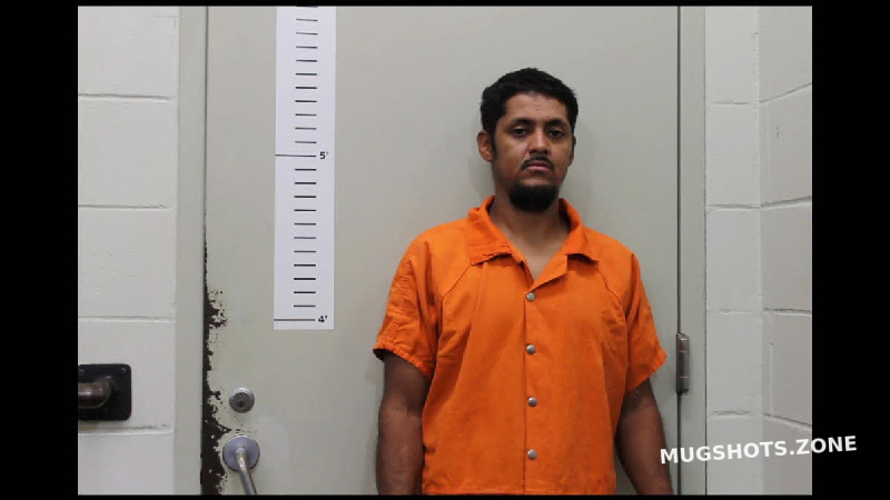 CARIAS AVILA JORGE DANERY 11/20/2024 - Chilton County Mugshots Zone