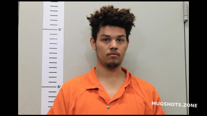 REEVES JOSHUA STEPHEN 12/16/2024 - Chilton County Mugshots Zone