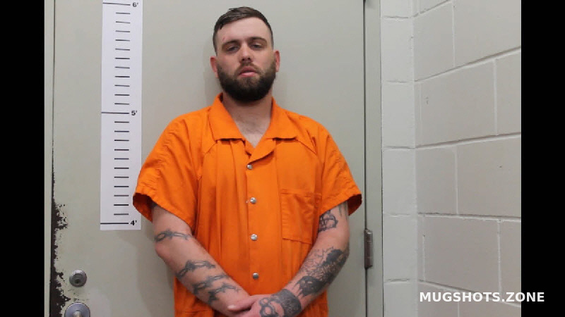 GOGGINS JONATHAN EDWARD 02/11/2025 - Chilton County Mugshots Zone