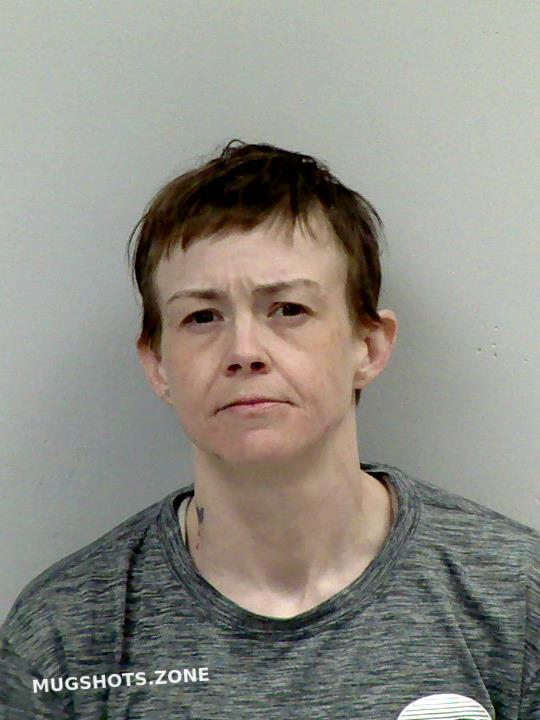 BRIGGS GINA ARLENE 02/24/2024 - Chippewa County Mugshots Zone