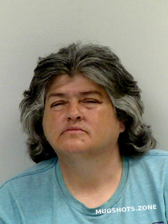 THOMPSON SUSAN MAY 05/31/2024 - Chippewa County Mugshots Zone