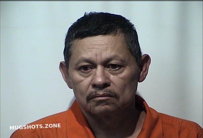 MORALES ANDRES NMN 08/12/2024 - Christian County Mugshots Zone