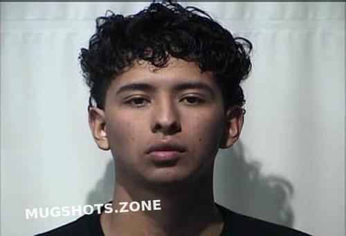 PENA ALEJANDRO ORANTES 01/24/2025 - Christian County Mugshots Zone