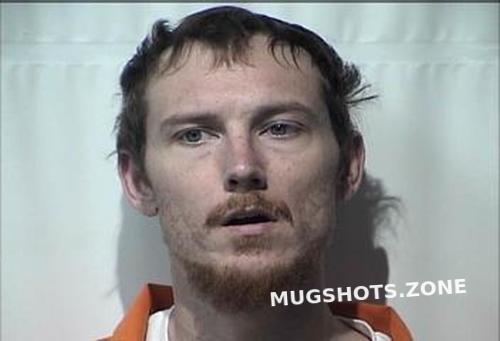 GARY DUSTIN LOGAN 03/06/2025 - Christian County Mugshots Zone