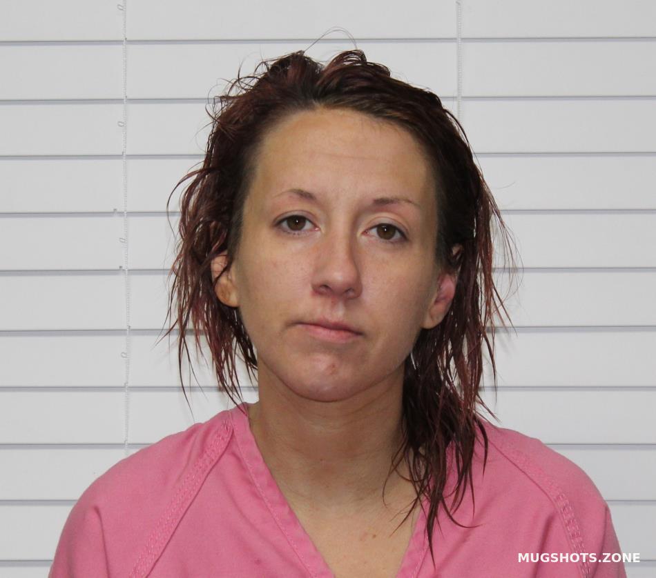RIDDLE AMANDA MICHELLE 03/29/2023 - Christian County Mugshots Zone