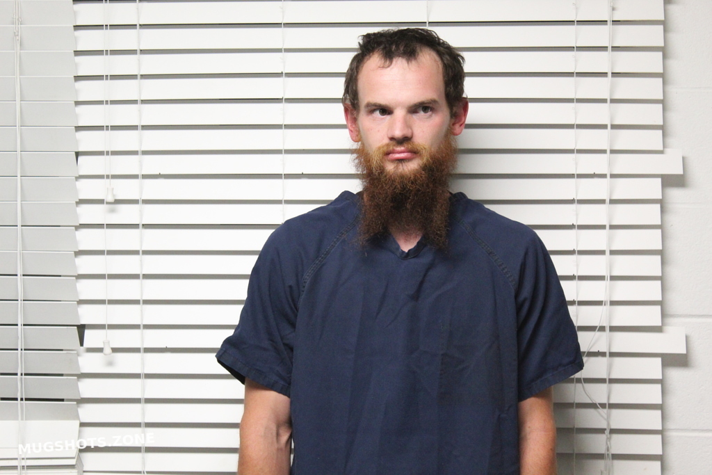 BEESLEY DUSTY LYNN LEE 06/08/2025 - Christian County Mugshots Zone