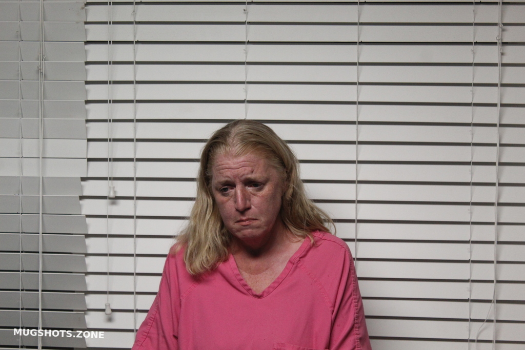GOWER LISA M 06/30/2025 - Christian County Mugshots Zone