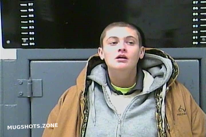 DAVIS SHELLI LYNN 11/24/2022 - Clark County Mugshots Zone