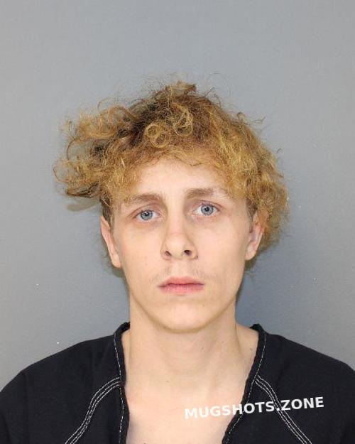 TOLSON DEVON MICHAEL 02/26/2025 - Clark County Mugshots Zone