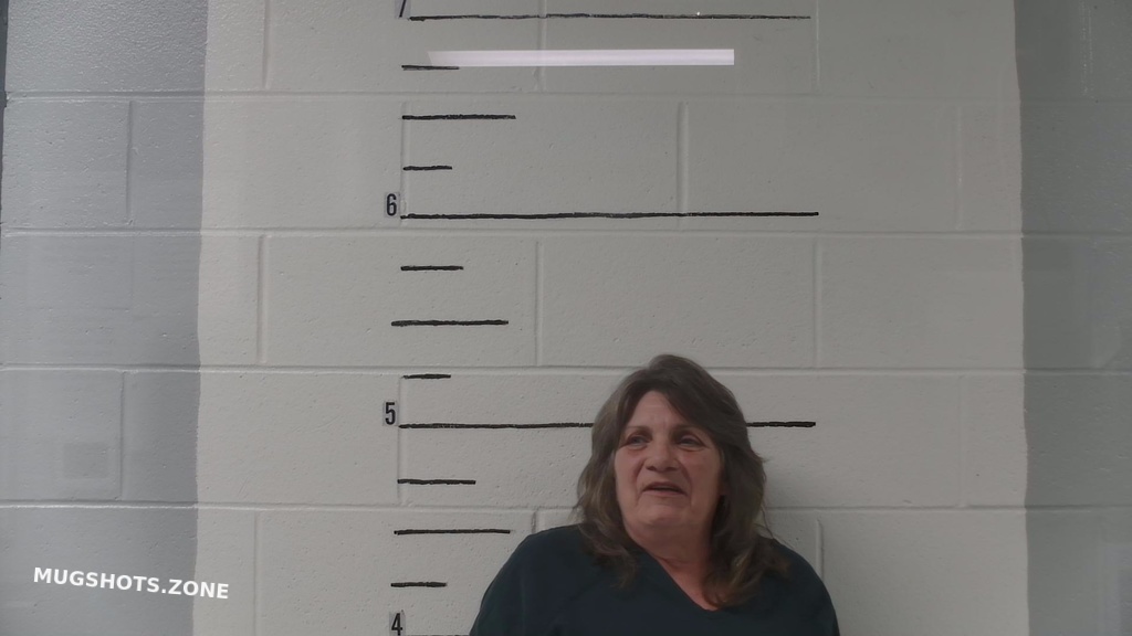 VILLEUX LAURIE ANN 04/17/2025 - Clay County Mugshots Zone
