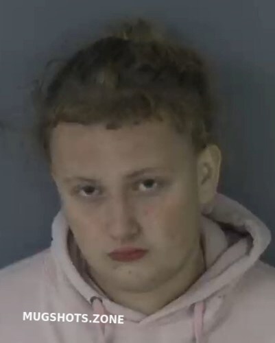 ALLISON BRAYDEN 01/27/2025 - Clay County Mugshots Zone