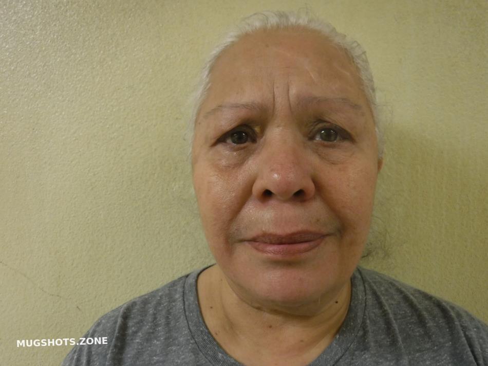 AROCHO CELIA 02/23/2024 - Clay County Mugshots Zone