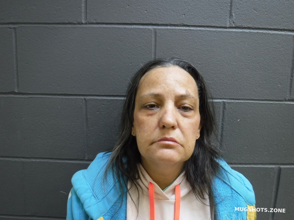 FIELD MICHELLE R 02/13/2025 - Clay County Mugshots Zone