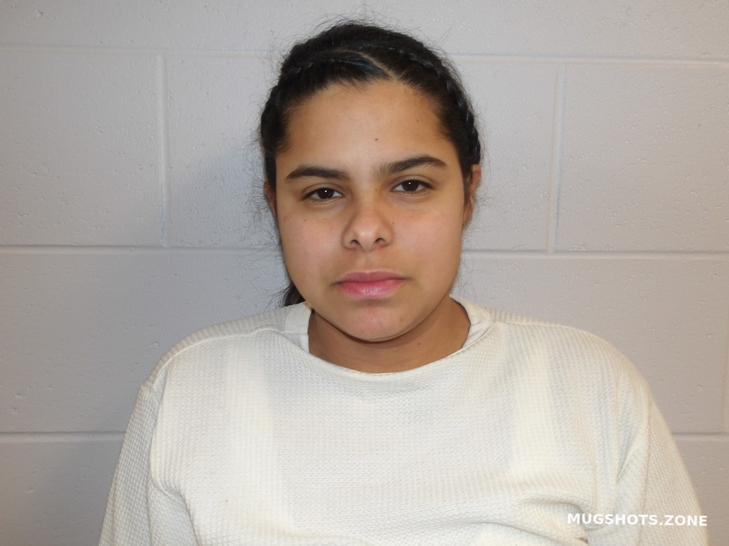BALLESTEROS-GONZALEZ MICHEL 03/21/2025 - Clay County Mugshots Zone
