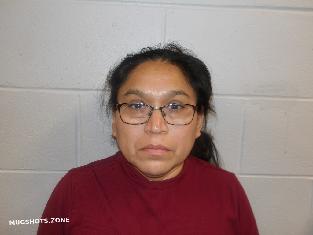 GONZALEZ SANCHEZ MARIA 06/09/2025 - Clay County Mugshots Zone
