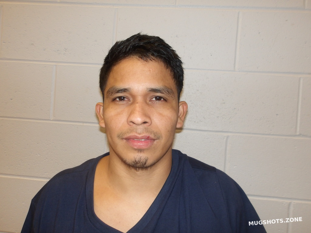 TZANLIC-PEREZ AXEL 08/05/2025 - Clay County Mugshots Zone