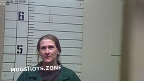 AMY DAWN COOK 06/16/2022 - Clay County Mugshots Zone