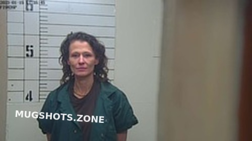TABITHA KAY HINES 01/15/2023 - Clay County Mugshots Zone