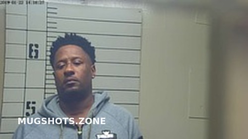 SHASHONA ELLIS LYLES 03/31/2023 - Clay County Mugshots Zone