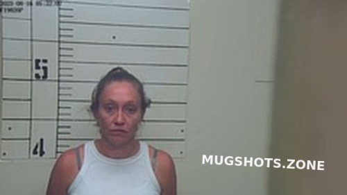 AMANDA ASHLEY BIGHAM 08/17/2023 - Clay County Mugshots Zone