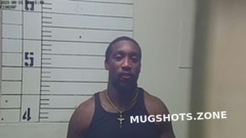 BRANDON LAMON HAMILTON 09/01/2023 - Clay County Mugshots Zone