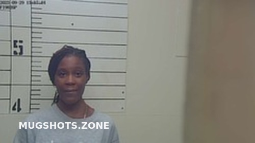 DINESHA SHANTELL WRIGHT 09/30/2023 - Clay County Mugshots Zone