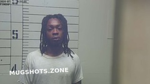 JAQUAVIS DESHAWN FAIR 08/01/2024 - Clay County Mugshots Zone