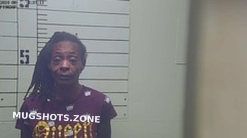 HELEN ANN BRUNACHE 08/08/2024 - Clay County Mugshots Zone